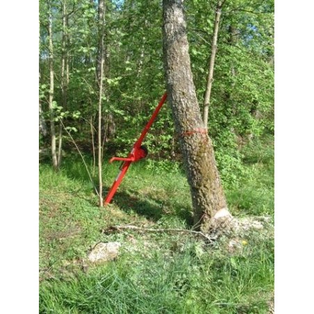 Cric forestier Pusher - Zimmer